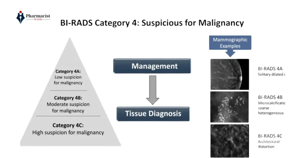 BI-RADS Category 4 Explained: Risk, Biopsy & Meaning